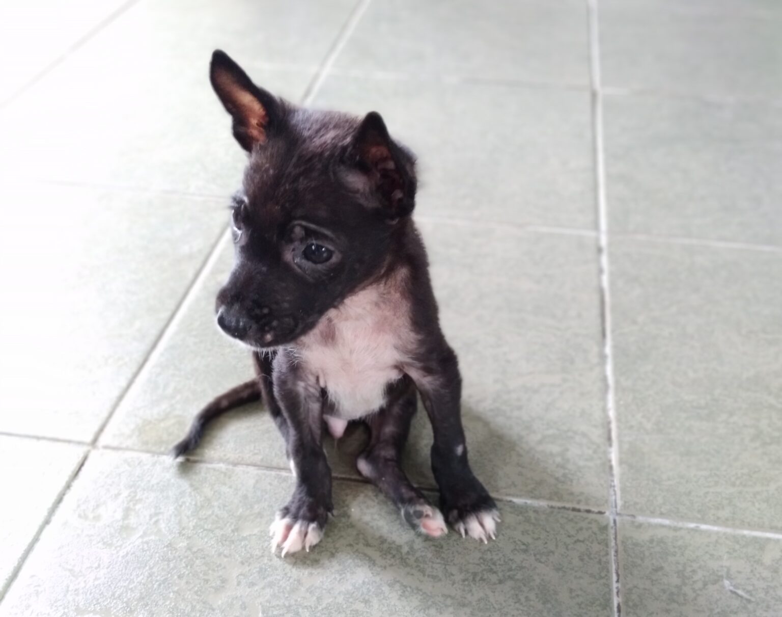 Litopia – The Net's Oldest Writers' Colony