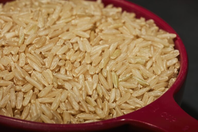 Plain Grocery Stores – Litopia